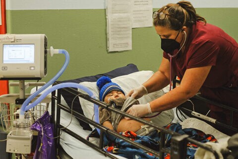 What is a PPEC | Tender Care PPEC since 1988